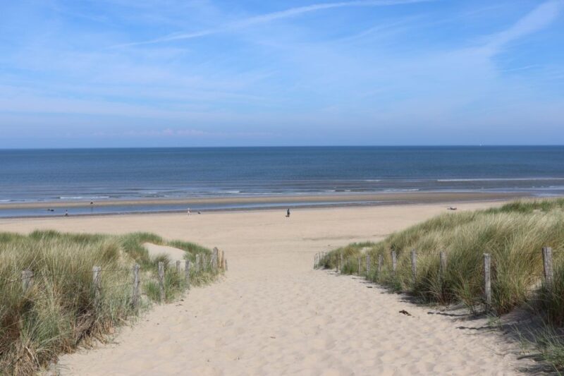 Noordwijk: Beach and Dunes Bike Tour - Practical Tips for Participants