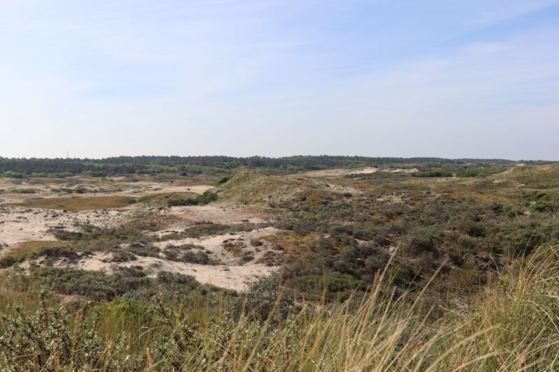 Noordwijk: Beach and Dunes Bike Tour - Who Is This Tour Best For?