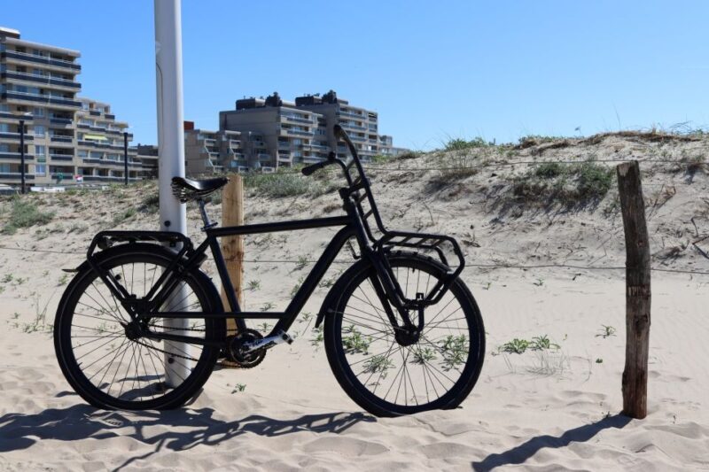 Noordwijk: Beach and Dunes Bike Tour - Final Thoughts