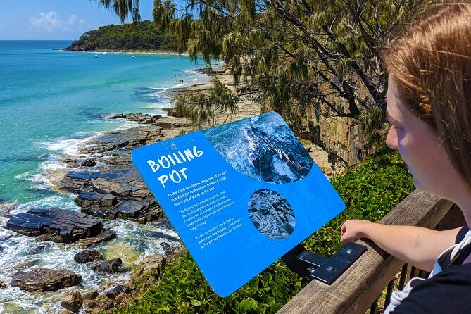 Noosa, Aussie Animals & Glass House Mountains from Brisbane - Noosa, Aussie Animals & Glass House Mountains from Brisbane: An In-Depth Review