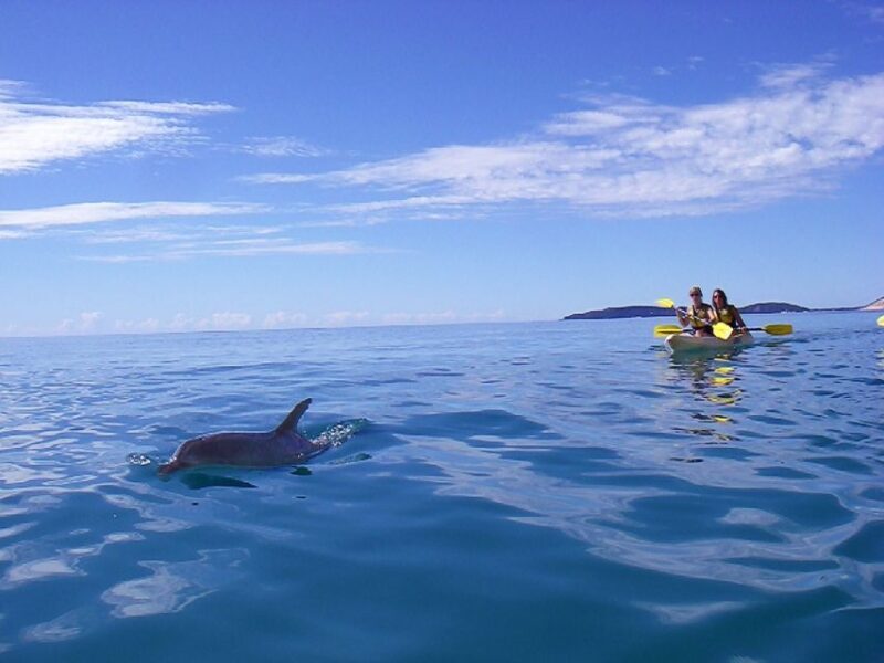 Noosa: Dolphin Sea Kayak & Beach 4X4 Tour (in National Park) - FAQs
