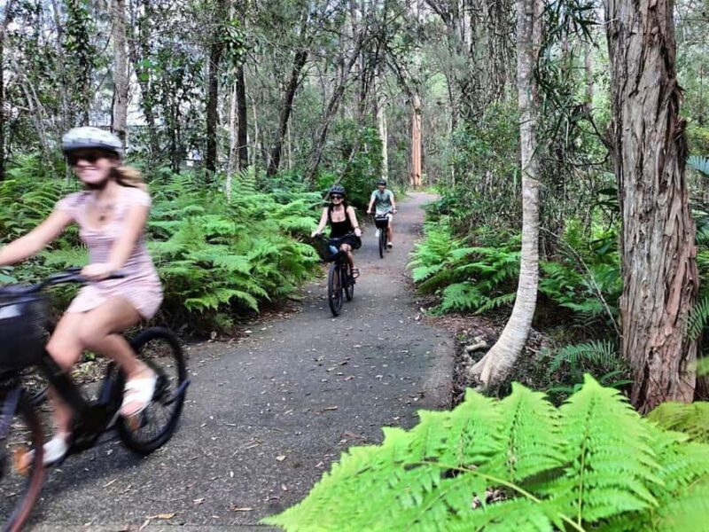 Noosa: E-Bike Tour from Mt Tinbeerwah to Noosa - An Authentic Look at the Experience