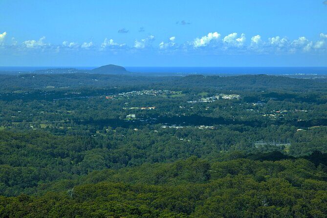 Noosa, Eumundi Markets, Glass House Mountains from Brisbane - Morning Tea at The Barn in Flaxton
