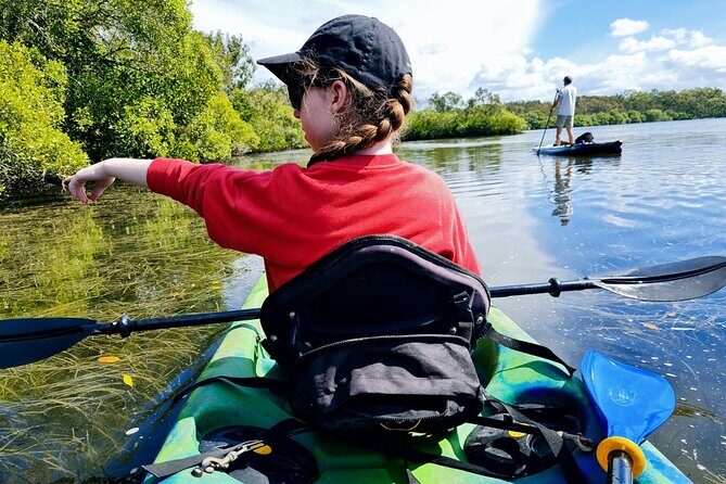 Noosa Everglade Kayak -South/Noosa End - Searching for Stingrays! - An In-Depth Look at the Noosa Everglade Kayak Tour
