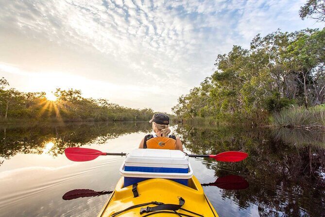 Noosa Everglade Kayak -South/Noosa End - Searching for Stingrays! - The Sum Up: Who Will Love This Tour?