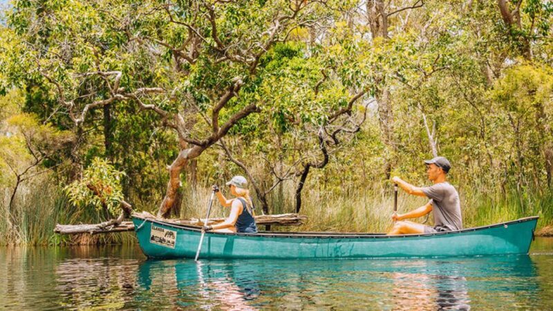 Noosa: Everglades Explorer Cruise - Key Points