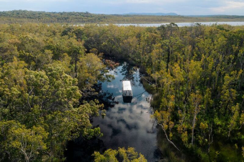 Noosa: Everglades Explorer Cruise - An In-Depth Look at the Noosa Everglades Cruise