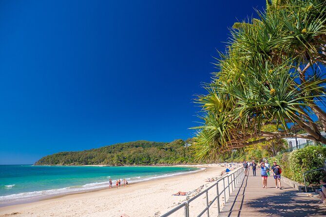 Noosa Heads and Eumundi Markets Private Tour from Brisbane - The Itinerary: A Closer Look