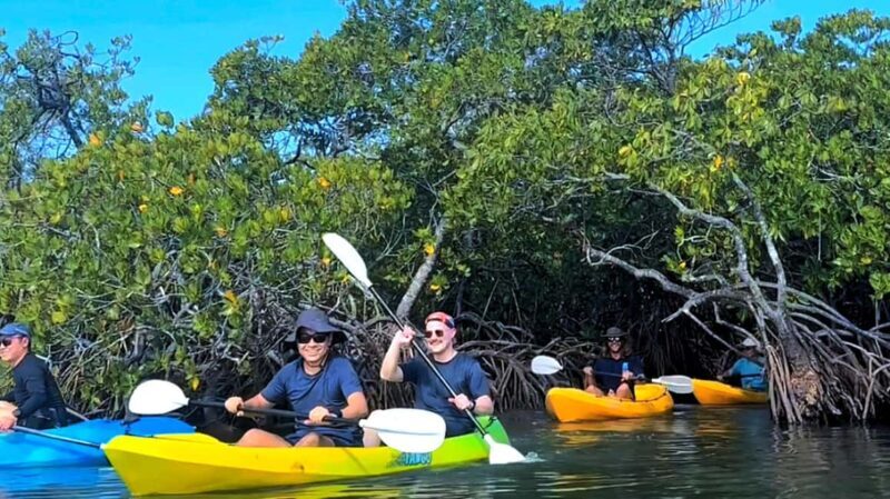 Noosa Heads: Hidden Waterways Wildlife Kayak (Fully Guided) - A River of Calm: The Starting Point