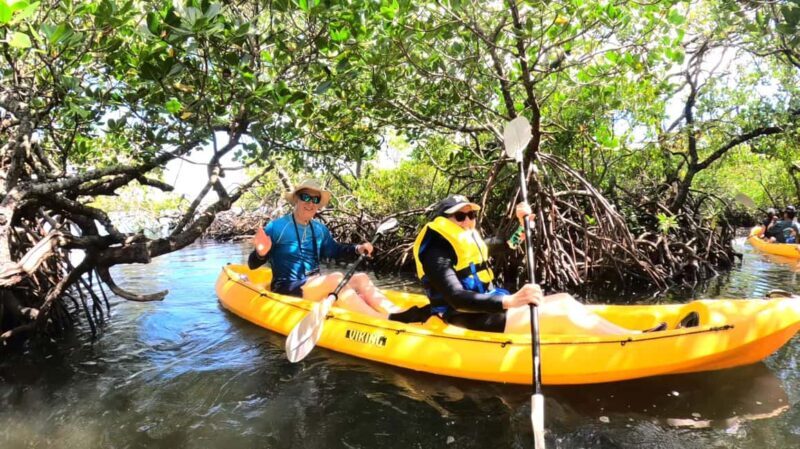Noosa Heads: Hidden Waterways Wildlife Kayak (Self-Guided) - An Honest Look at What You Can Expect