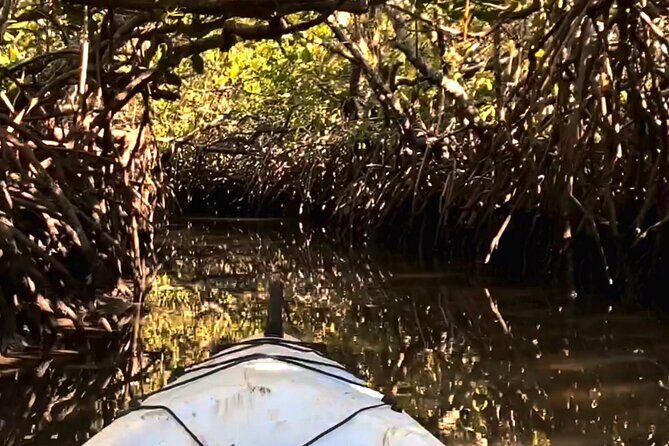 Noosa Heads: Hidden Waterways & Wildlife Kayak Tour - Introduction to the Experience