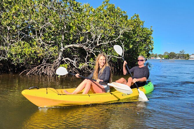 Noosa Heads: Hidden Waterways & Wildlife Kayak Tour - The Sum Up