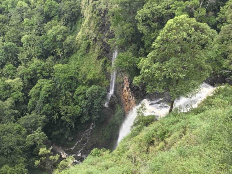 Noosa: Maleny & Montville Tour with Lunch & Wine Tasting - Wine Tasting with Ocean Views at a Local Vineyard
