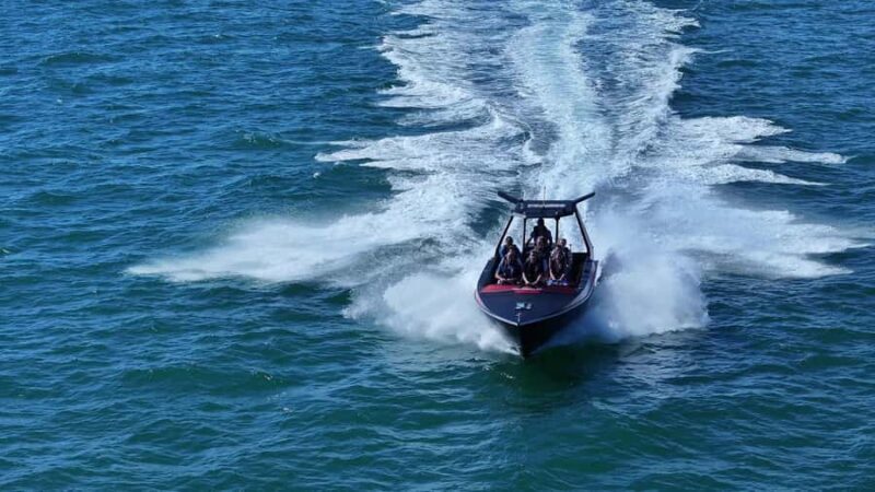 Noosa: Noosa Ocean Adventure with Dolphin Watching - The Experience: A Closer Look at the Tour
