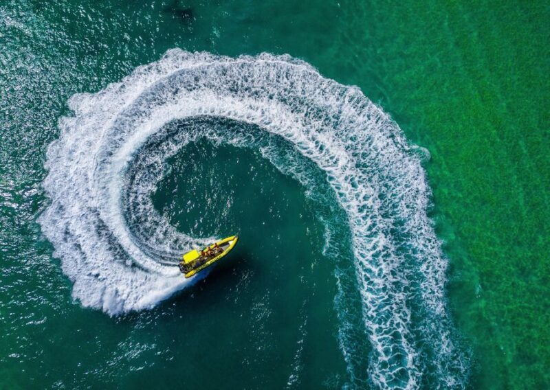 Noosa Ocean adventure & Dolphin Safari. - An Experience That Offers a New View of Noosa
