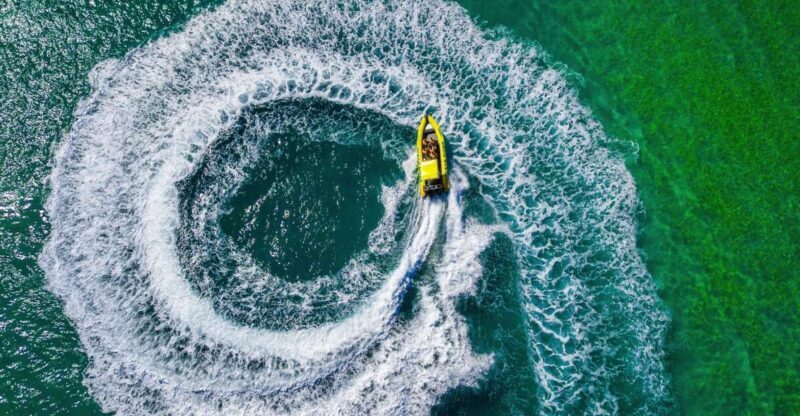 Noosa Ocean adventure & Dolphin Safari. - The Balance of Fun and Learning