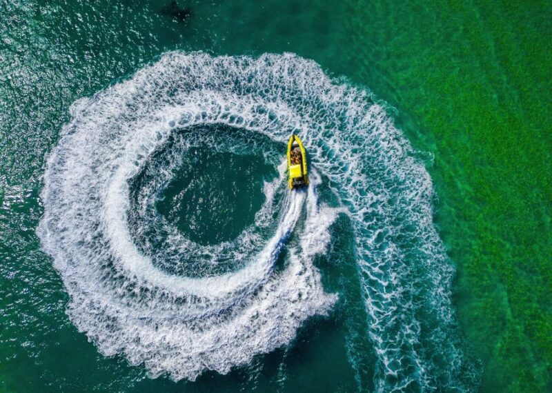 Noosa Ocean adventure & Dolphin Safari. - Customer Insights and Authentic Feedback