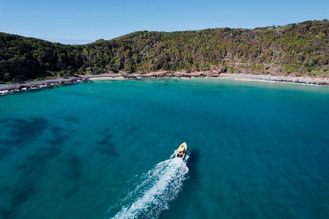 Noosa ocean adventure & Dolphin safari. - Who Should Consider This Tour?