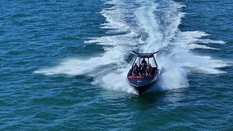 Noosa: Ocean Adventure & Dolphin Safari - Key Points