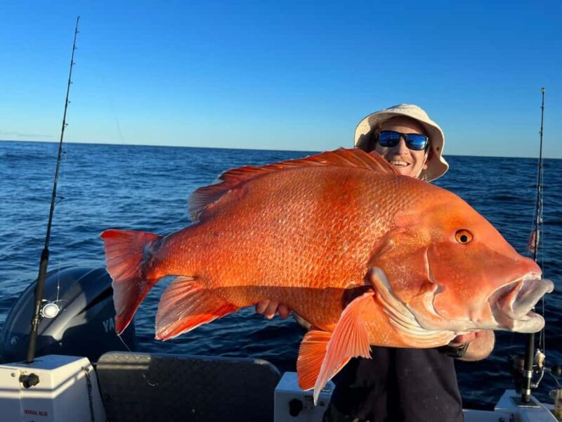 Noosa: Offshore Fishing Charter - Introduction: A Day on the Water in Noosa