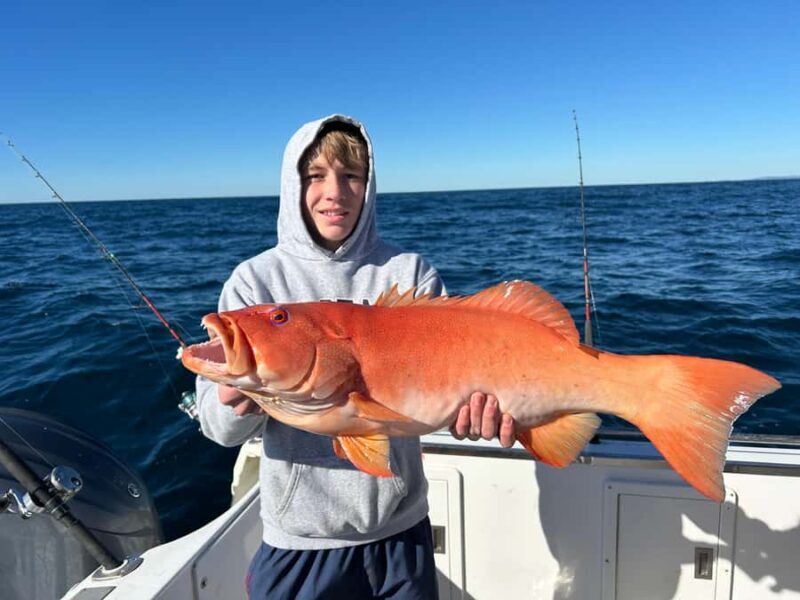 Noosa: Offshore Fishing Charter - The Value and Practicalities