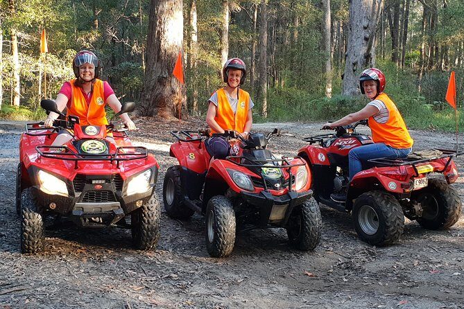 Noosa Quad Bike Tours - Who Will Love This Tour?