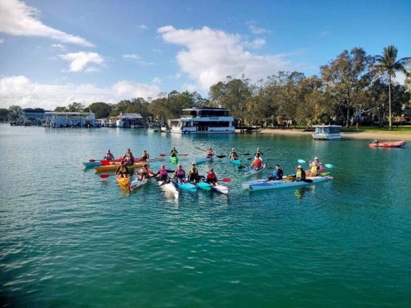 Noosa River: Mangroves and Mansions Guided Kayak Tour - Why This Tour Offers Great Value