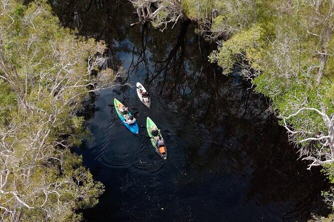 Noosa Sightseeing Adventure - Ferry Cruise, Ride and Kayak - The Itinerary in Detail