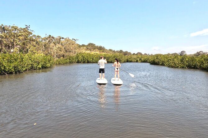 Noosa Stand Up Paddle & Mangrove Tunnel Tour - Who Would Love This Tour?