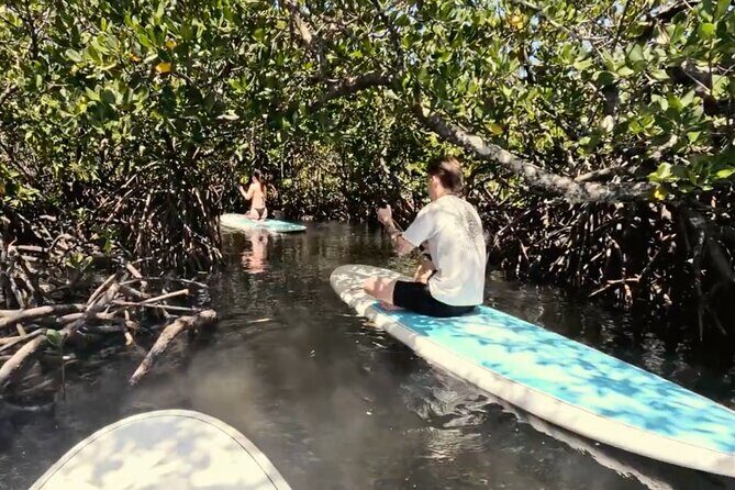 Noosa Stand Up Paddle & Mangrove Tunnel Tour - The Sum Up: Why It’s a Solid Choice for Your Noosa Visit