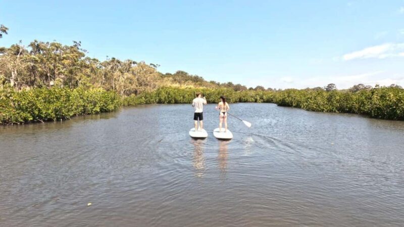 Noosa Stand Up Paddle & Mangrove Tunnel Tour (Fully Guided) - Final Thoughts
