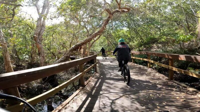 Noosa Surf Beach Trail e-Bike Tour: Ride the Coastal Breeze - The Last Leg: Noosaville and Coastal Trails