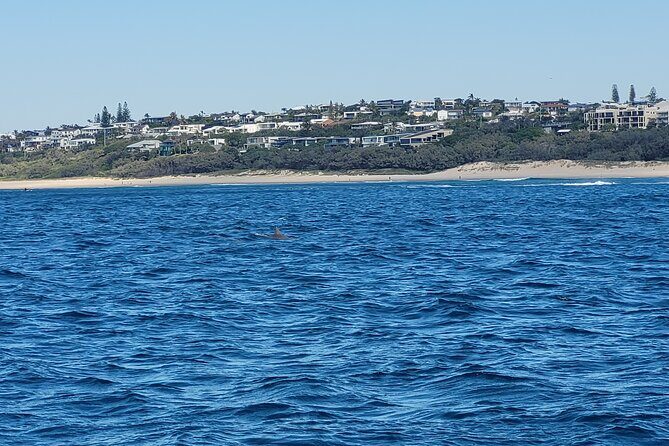 Noosa Surfing and Snorkel Boat Charters to Sunshine Coast in QLD - The Sum Up