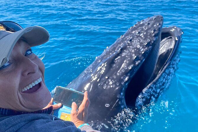Noosa Whale Watching Cruise  Humpback Whale Adventure - FAQ