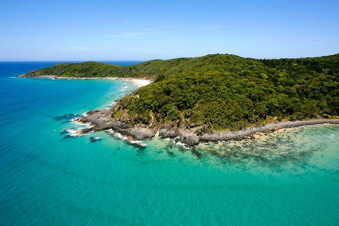 Noosa Whale Watching Tours - An In-Depth Look at the Noosa Whale Watching & Dolphin Safari