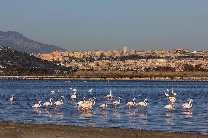 Nora Tour from Cagliari - The Sum Up