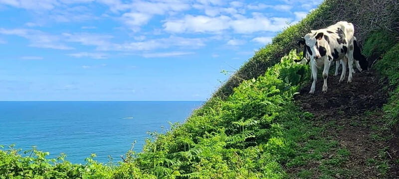 Nordeste/Northeast coast FULL DAY Waterfalls Hike - Key Points