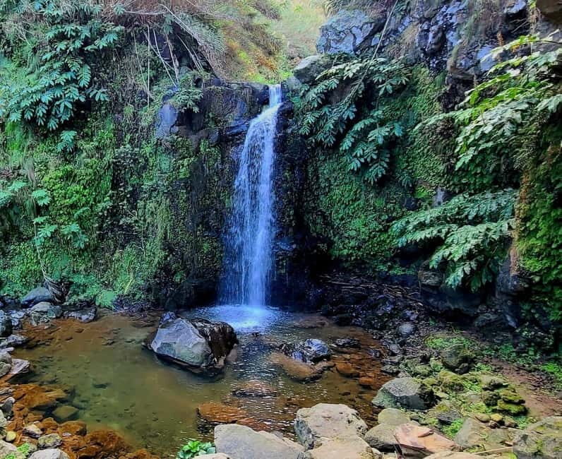 Nordeste/Northeast coast FULL DAY Waterfalls Hike - The Sum Up: Is It Worth It?
