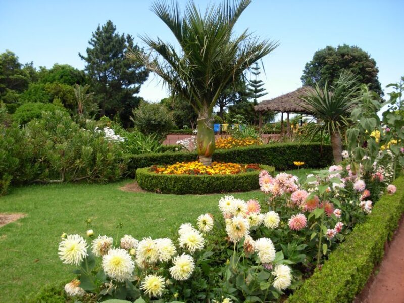 Nordeste Private Tour (2 people) - Key Points