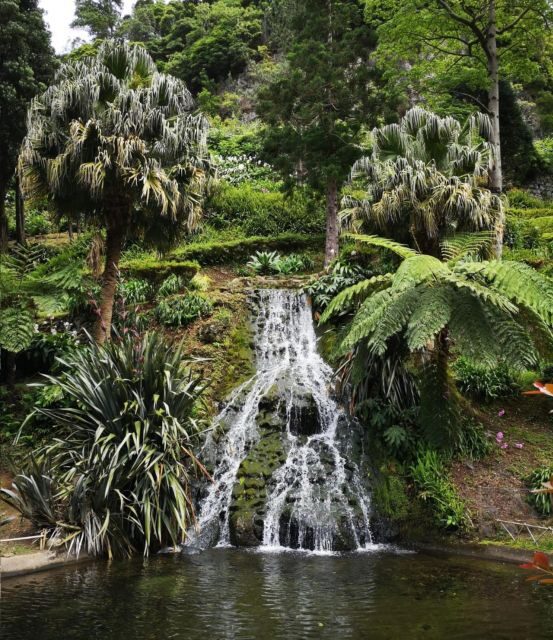 Nordeste: Waterfall, Hot Spring and Viewpoints Full-Day Tour - Relaxation at Terra Nostra Park Hot Springs