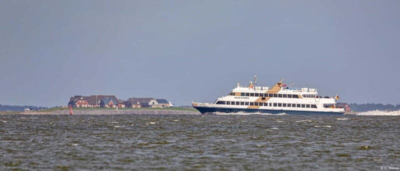 Nordstrand: Daytrip by boat to Helgoland - Final Thoughts: Who Should Take This Tour?