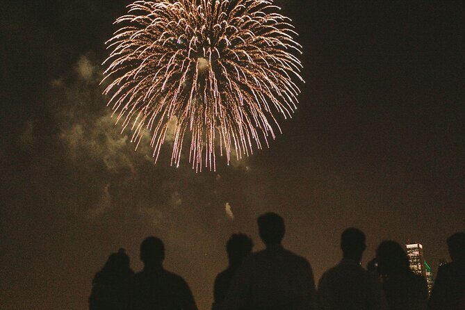 Norfolk 4th of July Buffet Dinner Cruise - Pricing and Value