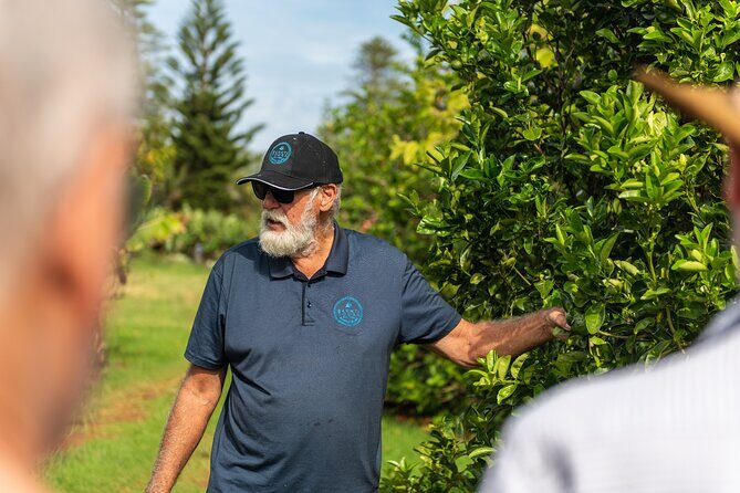 Norfolk Island Fish Fry Experience - Practical Considerations