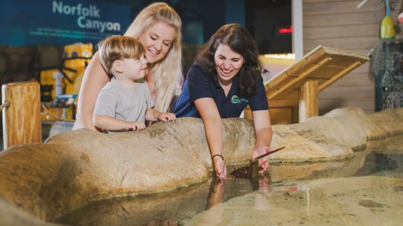 Norfolk: Virginia Zoo & Battleship Wisconsin Combo Ticket - A Closer Look at Whats Included
