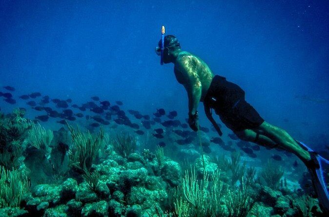 Norman Island - The Caves & The Indians - Sailing & Snorkel Tour - What Youll Experience Onboard