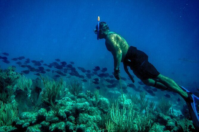 Norman Island - The Caves & The Indians - Sailing & Snorkel Tour - Practical Details & Tips