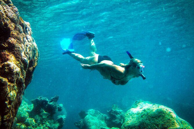 Norman Island - The Indians & The Caves Sailing & Snorkel Tour - The Value of This Tour