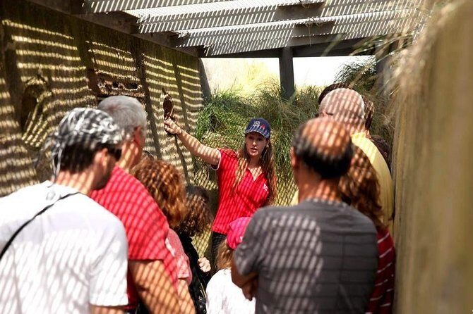 Normandy Battlefields Half Day Tour - Canadian World War II Sites - Introduction: Why This Tour Stands Out