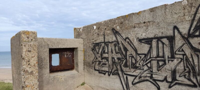 Normandy D-Day Beaches Private Tour US sector from Caen - What Past Travelers Are Saying