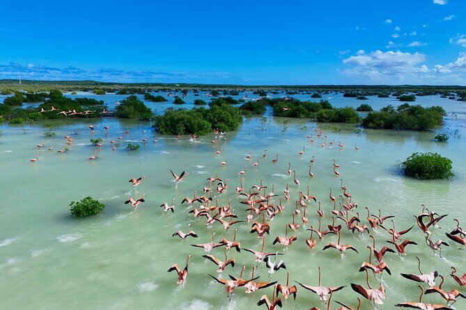 North and Middle Caicos Island Private Tour - Key Points